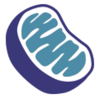 Publications – Brestoff Lab at Washington University in St Louis