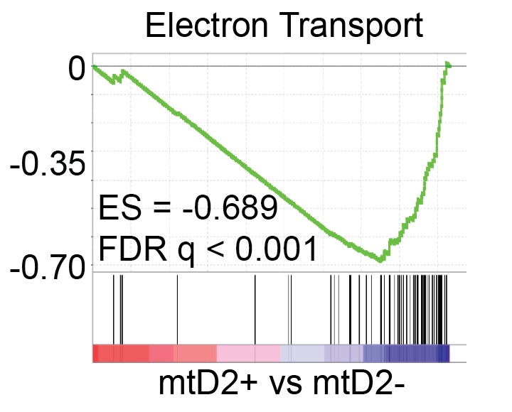 Brestoff Lab at Washington University in St Louis – At the interface of ...