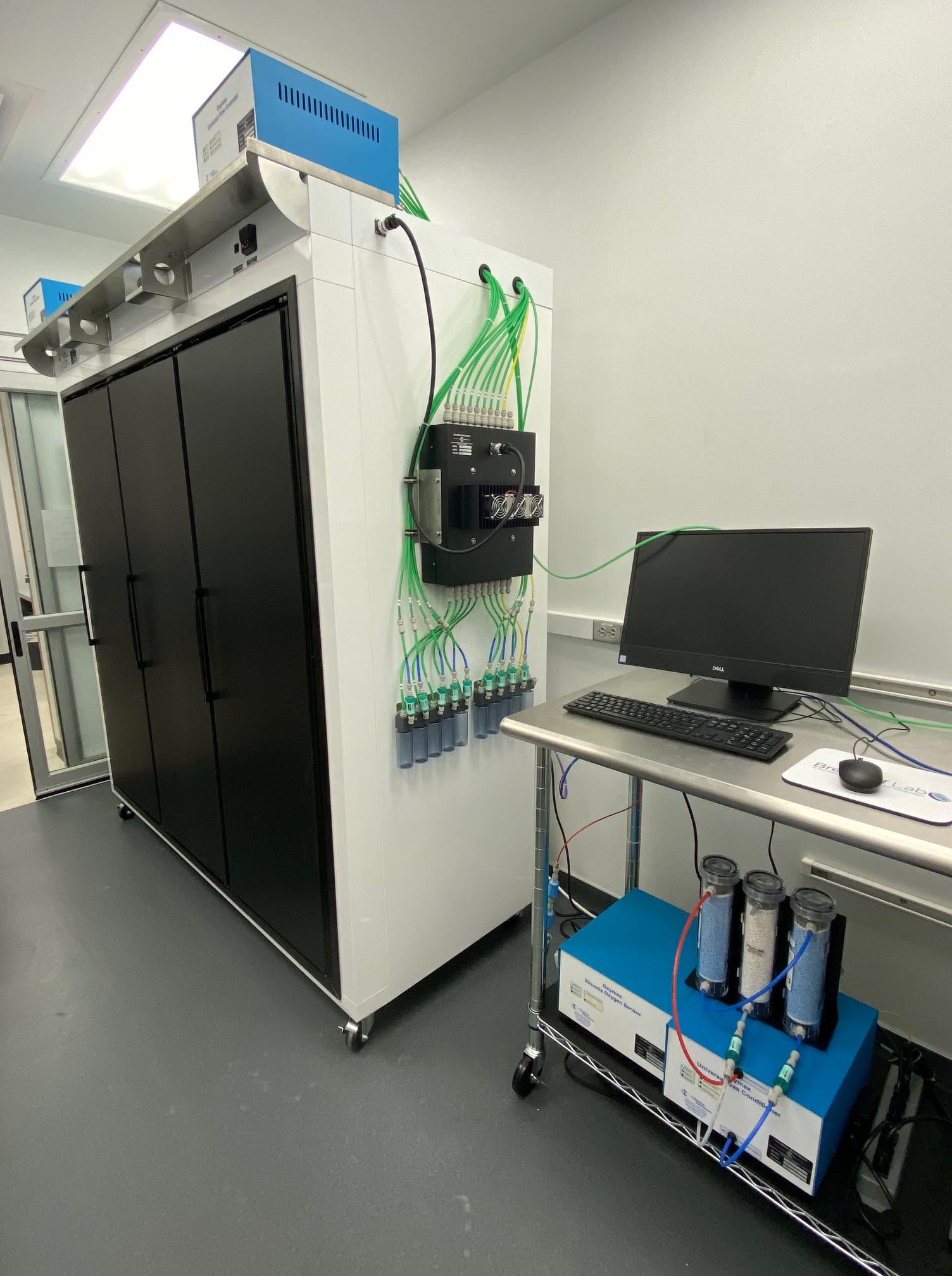 Services – Brestoff Lab at Washington University in St Louis